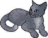Ashfoot | Fan Made Warrior Cats Wiki | Fandom
