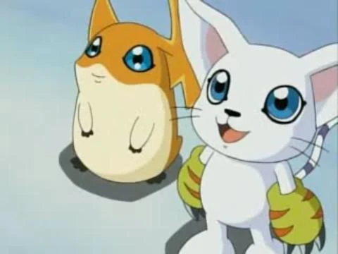 Patamon X Tailmon | Fan Shipping Wiki | Fandom