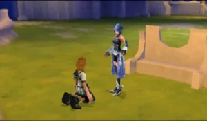 Aqua X Ventus | Fan Shipping Wiki | Fandom