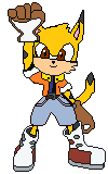 Ren the Cat | Sonic Fanon Wiki | Fandom