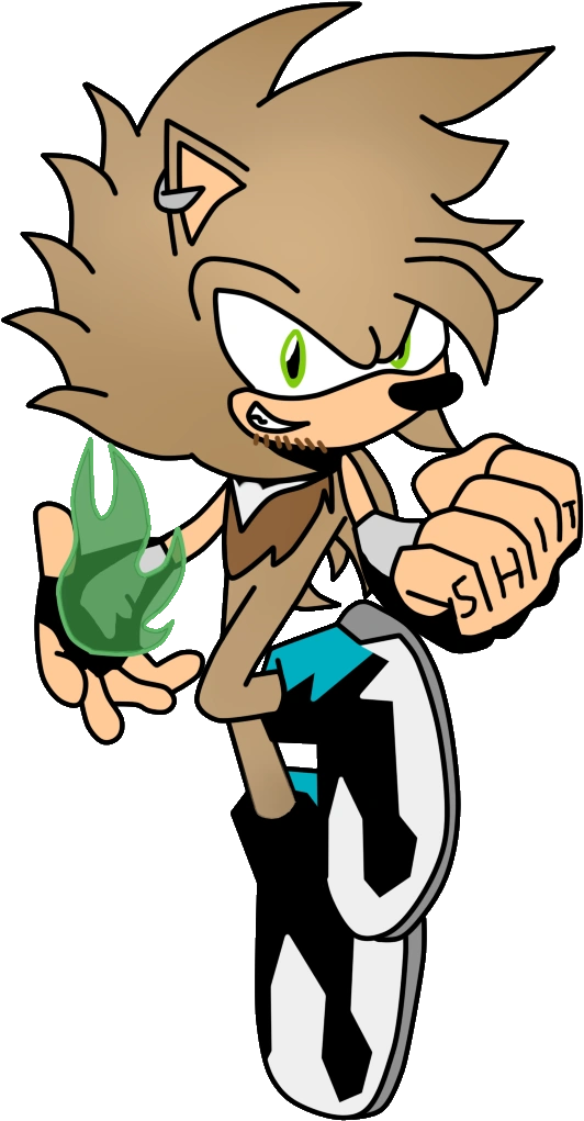 Raizer the Hedgehog | Sonic Fanon Wiki | Fandom