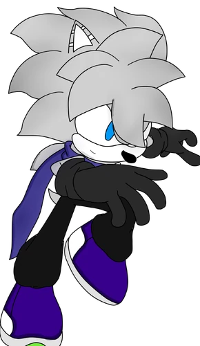 Blizzard the hedgehog | Sonic Fanon Wiki | Fandom