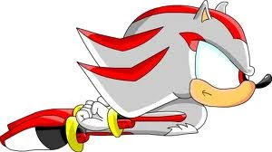 Border the Hedgehog | Sonic Fanon Wiki | Fandom