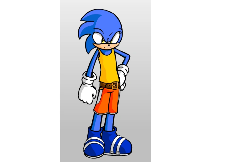 Maligo the Hedgehog | Sonic Fanon Wiki | Fandom