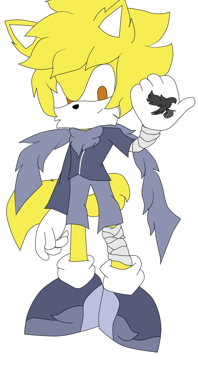 Sonic Fanon Wiki:Por Un Mobius Mejor; Introducción | Sonic Fanon Wiki ...