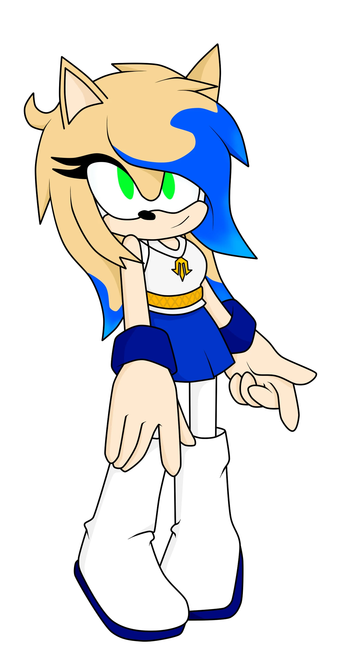 Akatsuki the Hedgehog (B&WS) | Sonic Fanon Wiki | Fandom