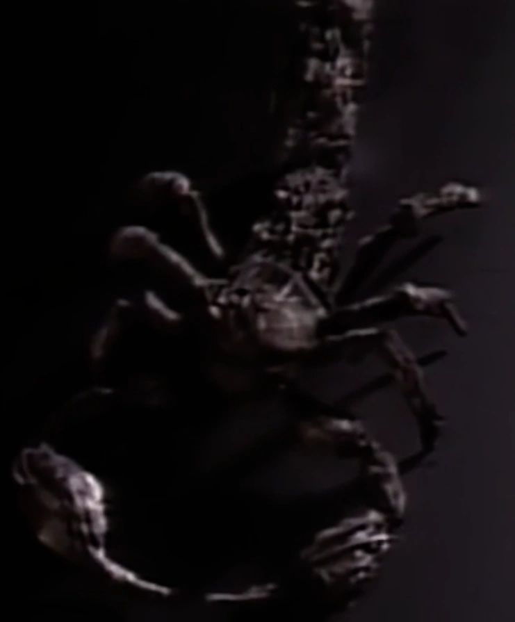 Scorbot | Wiki Fan Tokusatsu series | Fandom