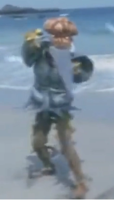 Fangbeard | Wiki Fan Tokusatsu series | Fandom