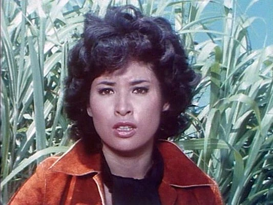 Jade Wilson | Wiki Fan Tokusatsu series | Fandom