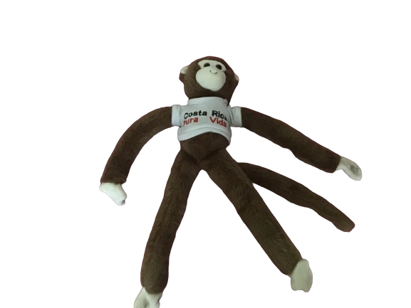 Timmy | Fan-BEARS Wiki | Fandom