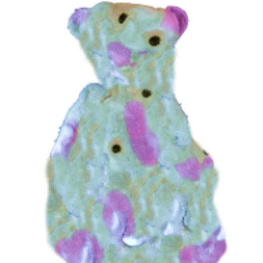 Bear containment event | Fan-BEARS Wiki | Fandom