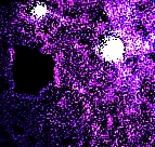 Not so cool Malbear | Fan-BEARS Wiki | Fandom