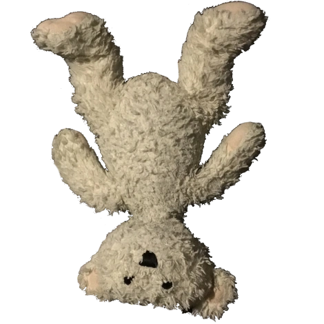 Dinnerbone Sam | Fan-BEARS Wiki | Fandom