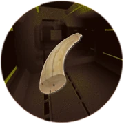 Walbear | Fan-BEARS Wiki | Fandom