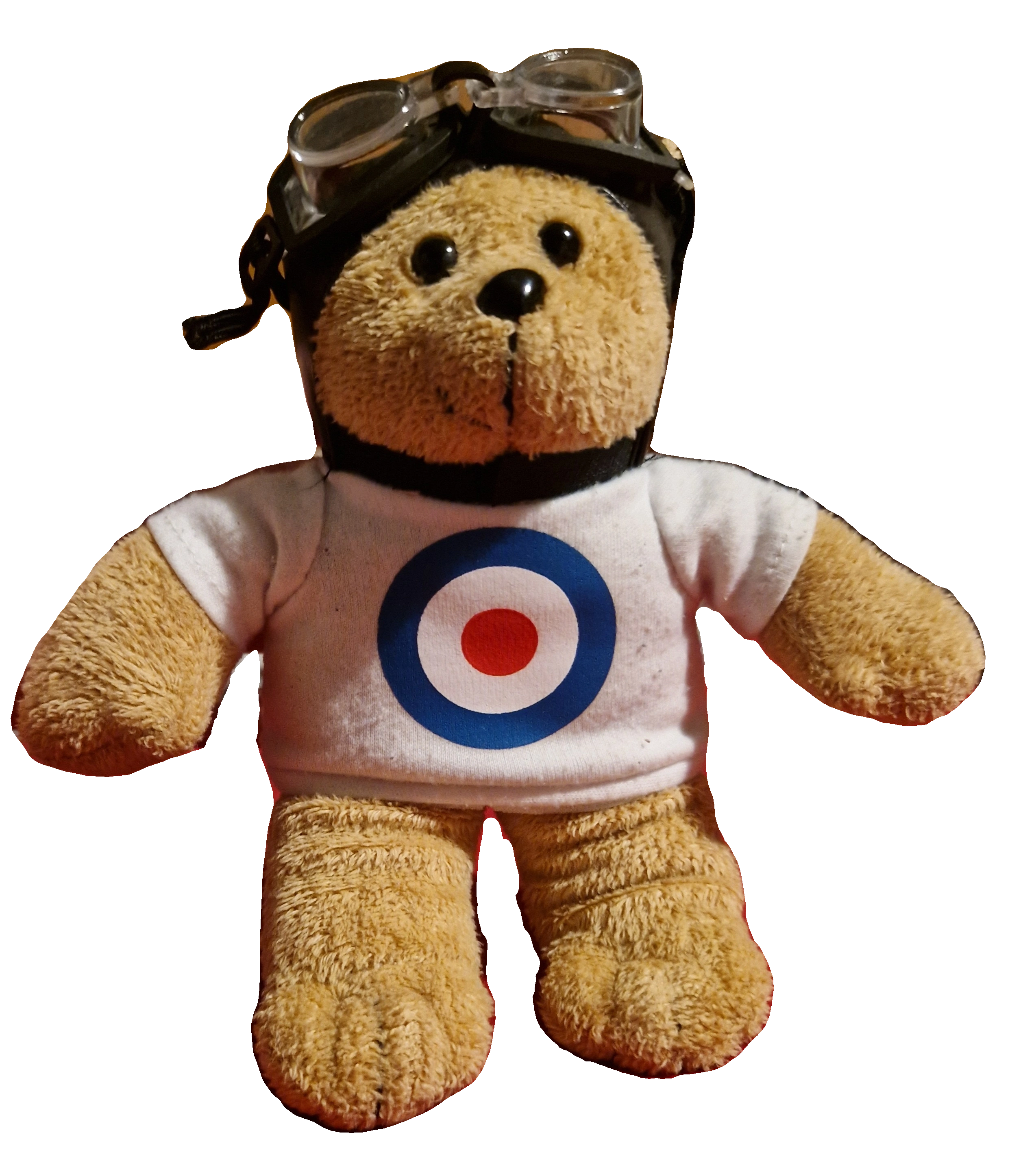 Discuss Everything About Fan-BEARS Wiki | Fandom