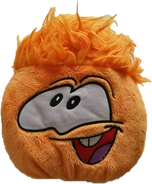 Bucko | Fan-BEARS Wiki | Fandom