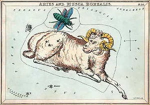 Eternal Aries EA145WD | Fan beyblade Wiki | Fandom