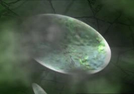 Protodermis | Fanclub Bionicle Wiki | Fandom