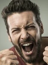 Steward (TV Series) | Fanontopia | Fandom