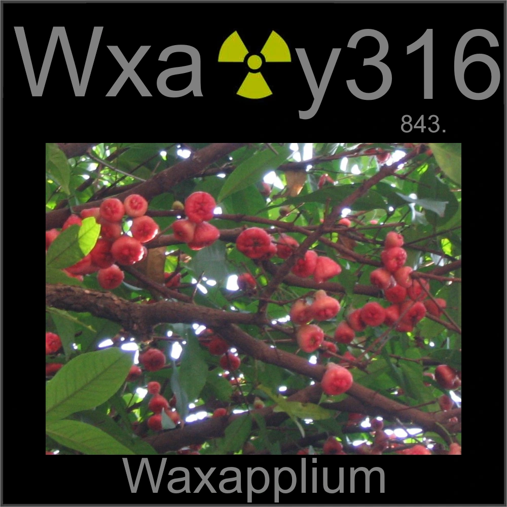 Waxapplium | Fandomium, Fan-Made Elements Wiki | Fandom