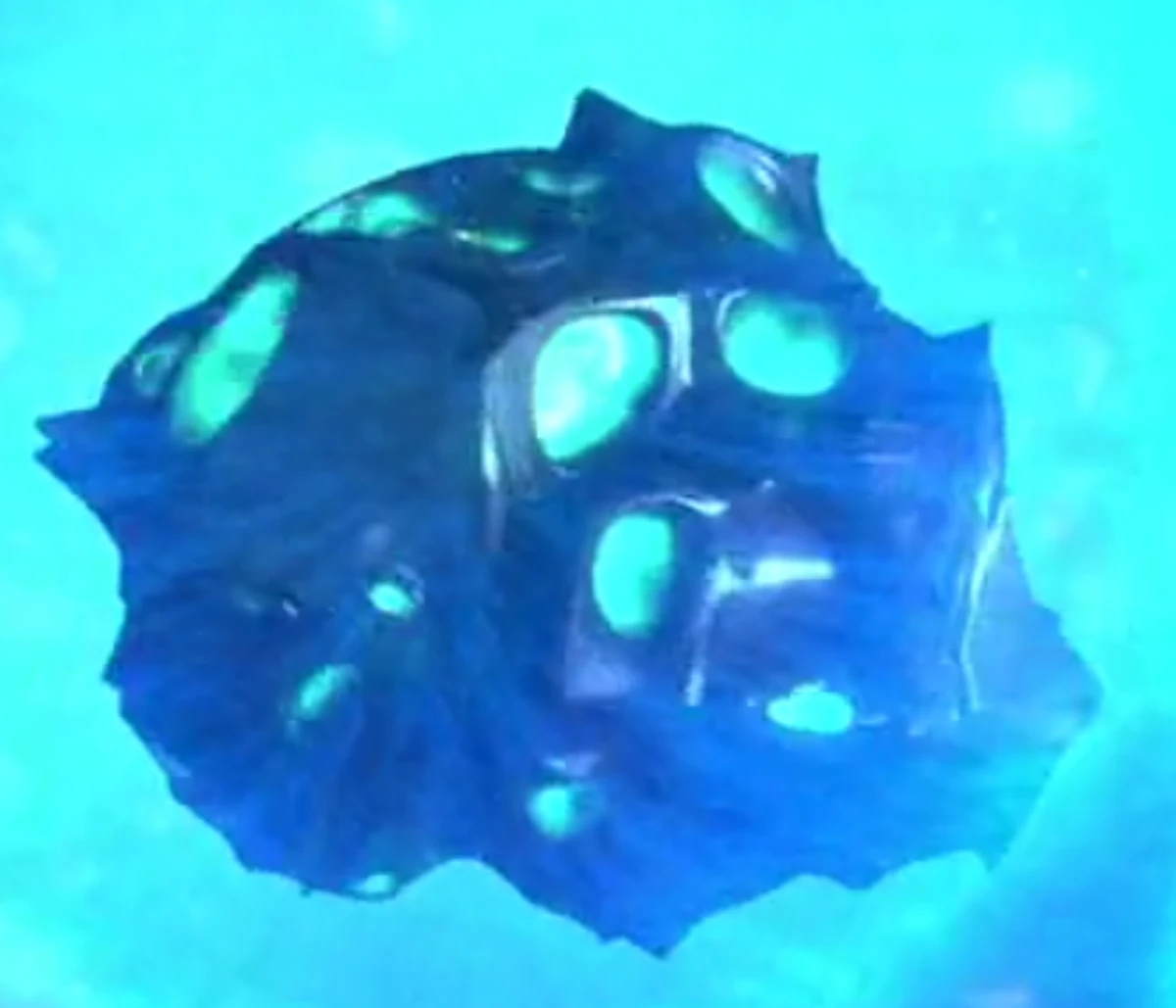 Quantonium | Fandomium, Fan-Made Elements Wiki | Fandom