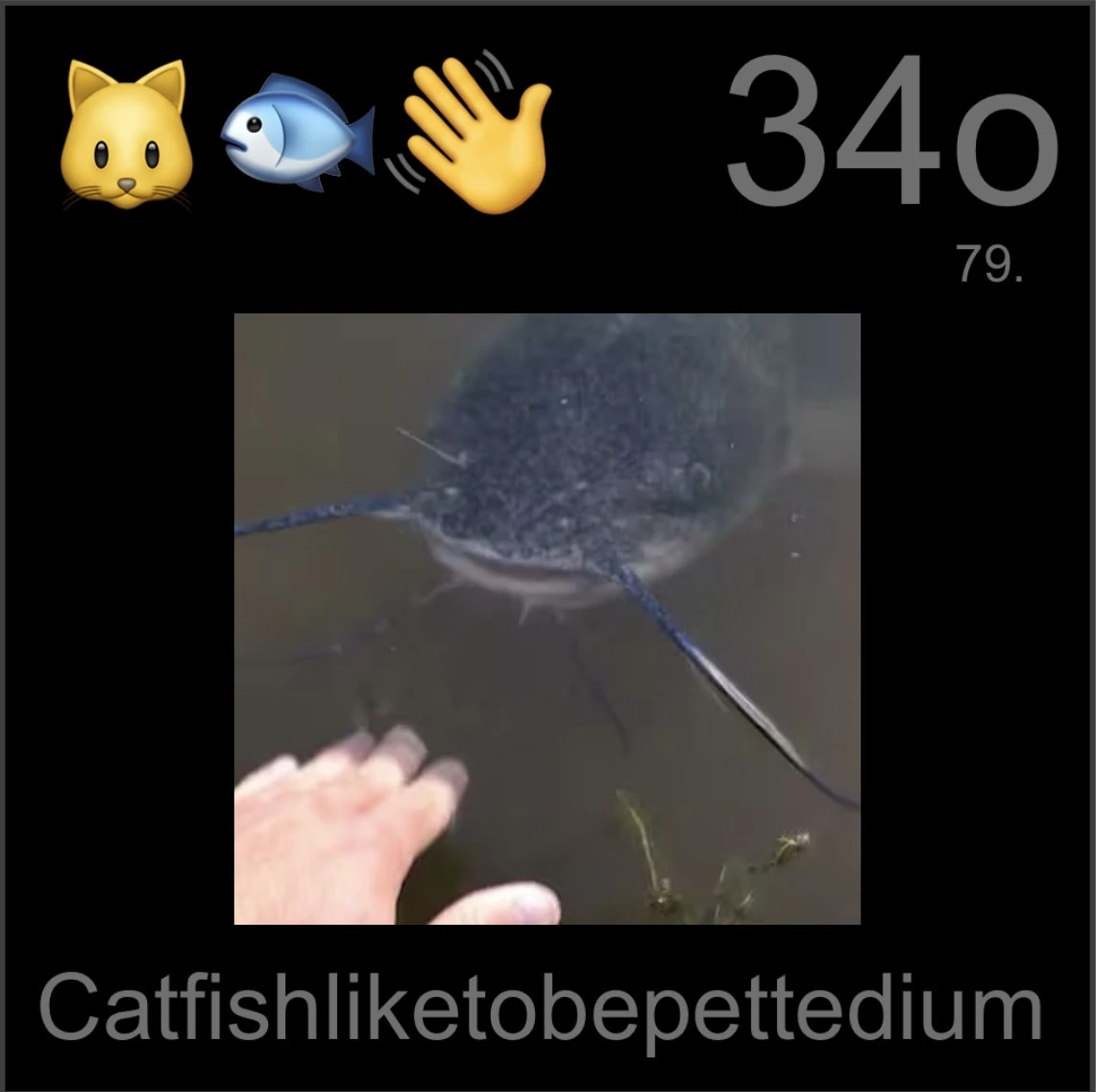 Catfishliketobepettedium | Fandomium, Fan-Made Elements Wiki | Fandom