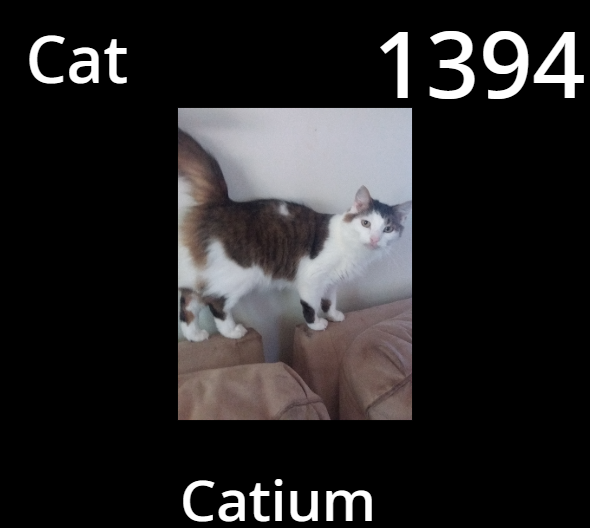 Catium | Fandomium, Fan-Made Elements Wiki | Fandom