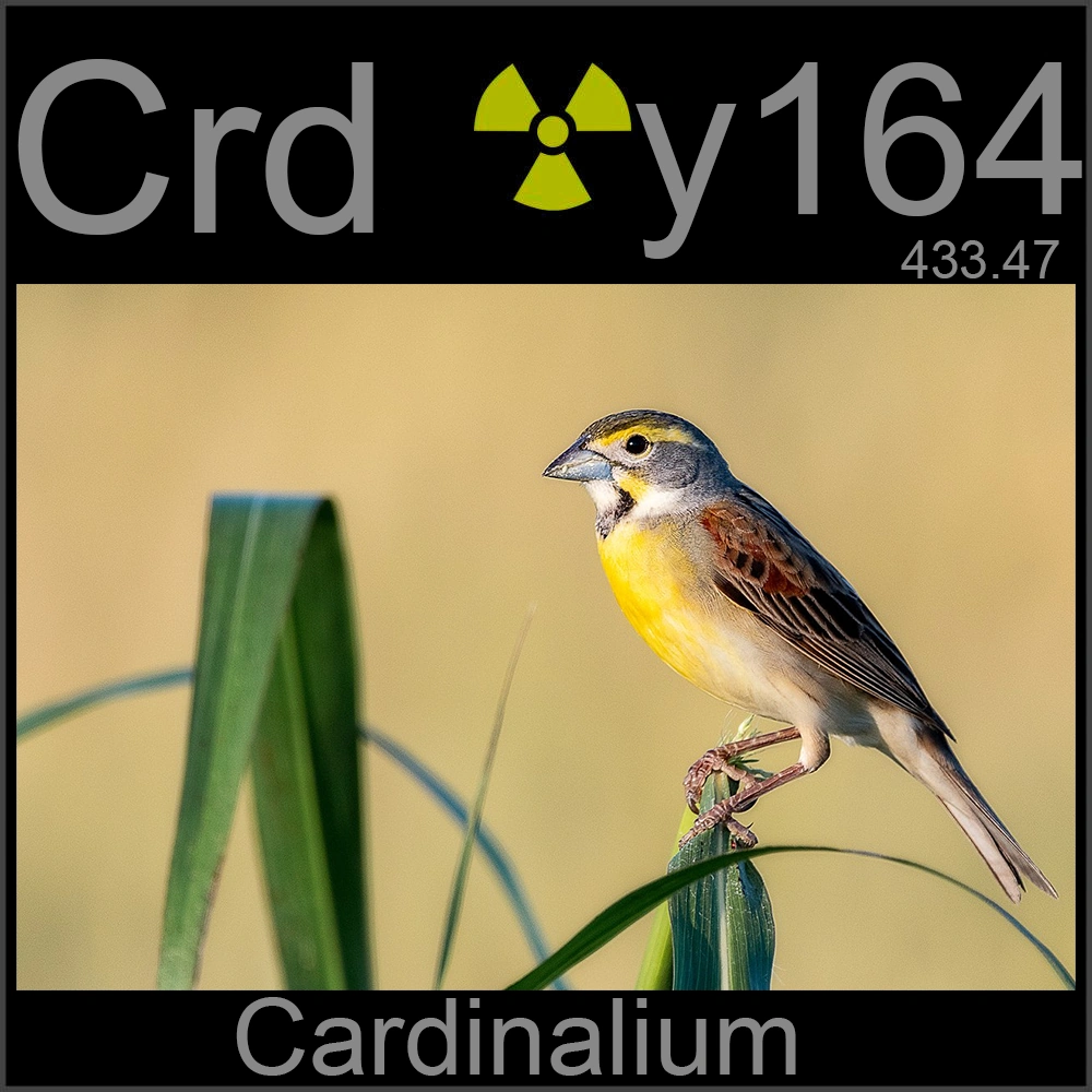 Cardinalium | Fandomium, Fan-Made Elements Wiki | Fandom