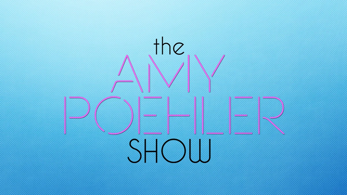 The Amy Poehler Show | Craytel Database | Fandom