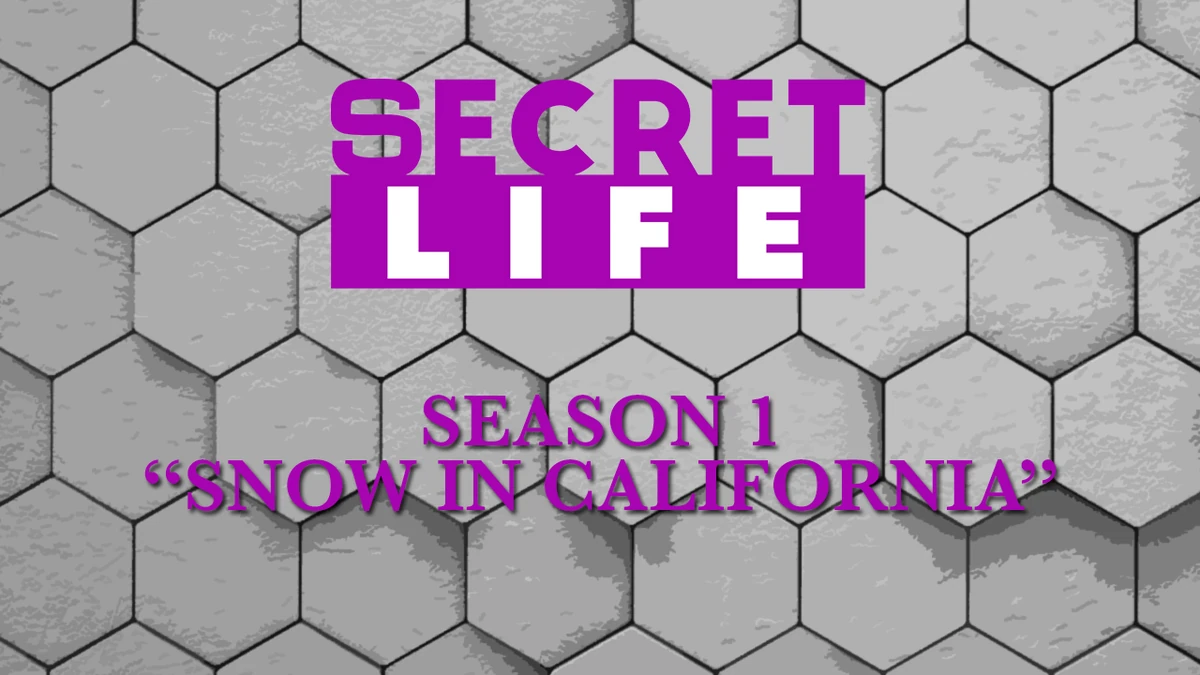 Snow in California (Secret Life) | Fanfic Channel Wiki | Fandom