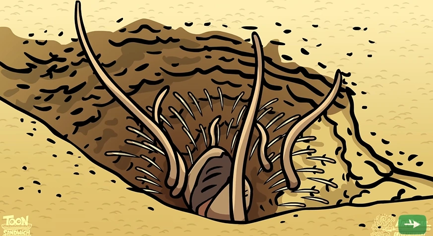 Sarlacc | Fanfictasia Wiki | Fandom