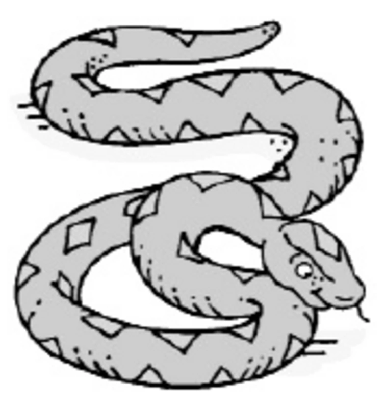 how to draw a bull snake