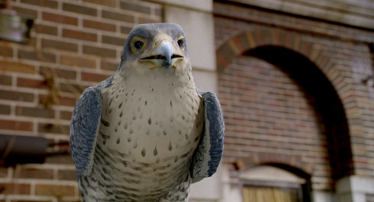 Duke Falcon | Fan Fiction | Fandom