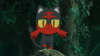 Litten | Fan Fiction | Fandom
