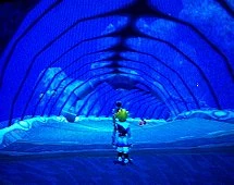 Lost Precursor City | Fan Fiction | Fandom