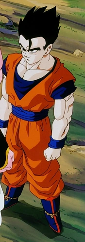 Gohan | Fan Fiction | Fandom
