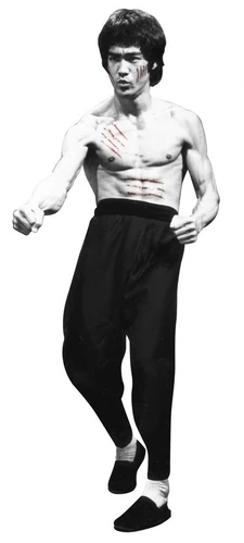 Lee (Enter the Dragon) | Fan Fiction | Fandom