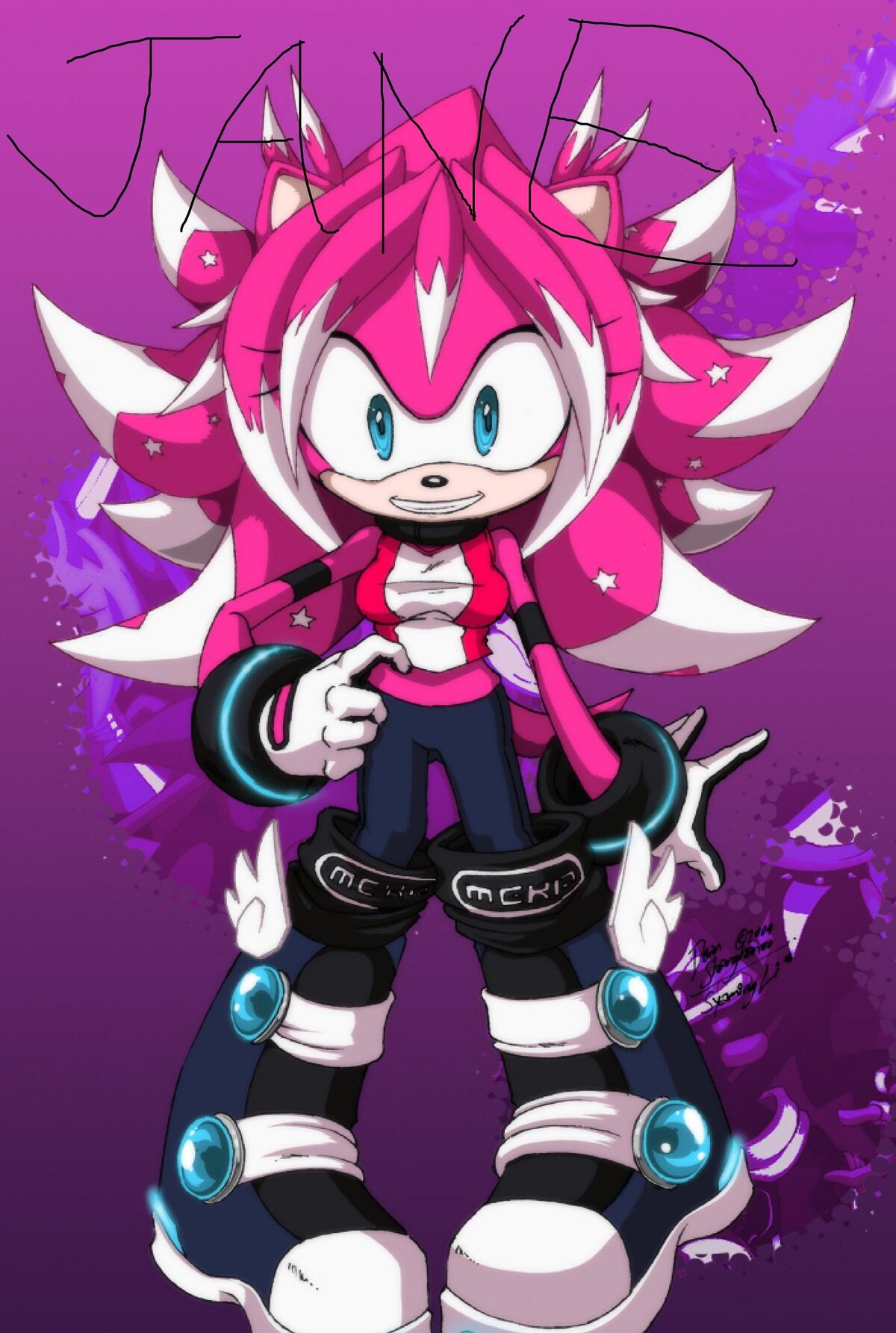 Nicole The Hedgehog | Fan Fiction | Fandom