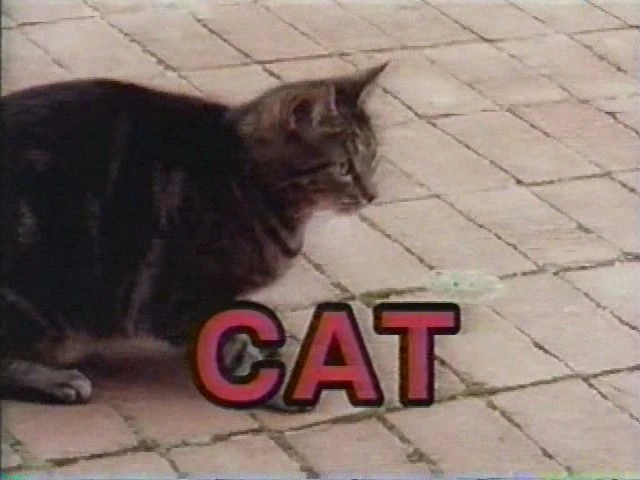 Sesame Street - Episode 3364 | Fan Fiction | Fandom