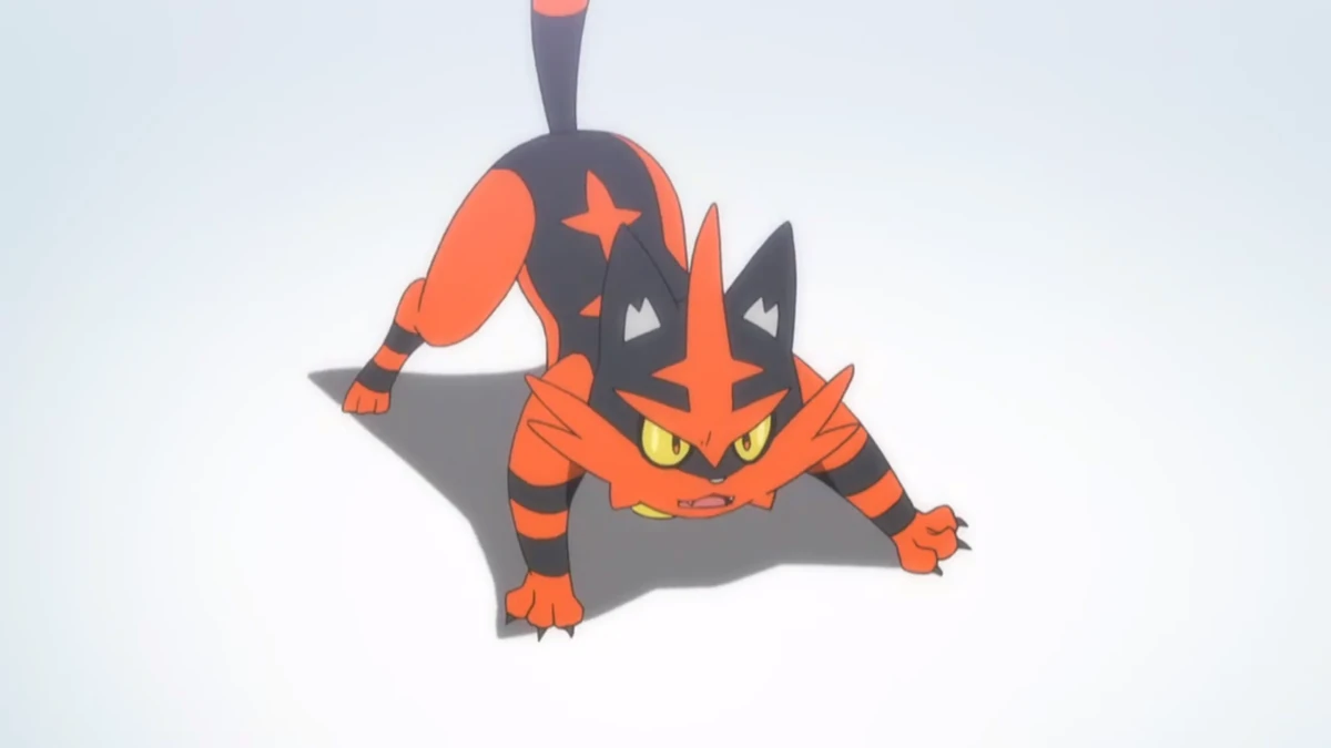 Torracat | Fan Fiction | Fandom