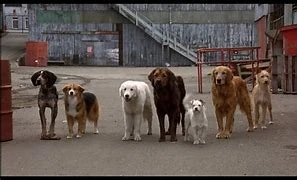 Bando | Fan Fiction | Fandom