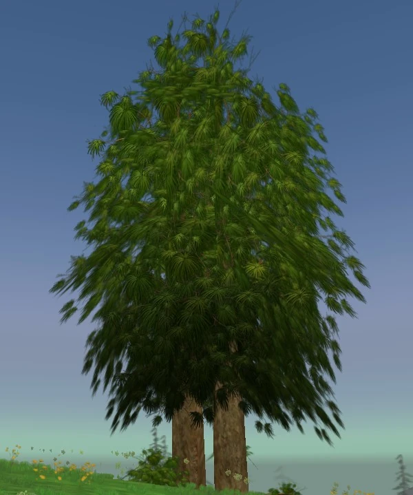 Blumbush (Endor) | Fan Fiction | Fandom