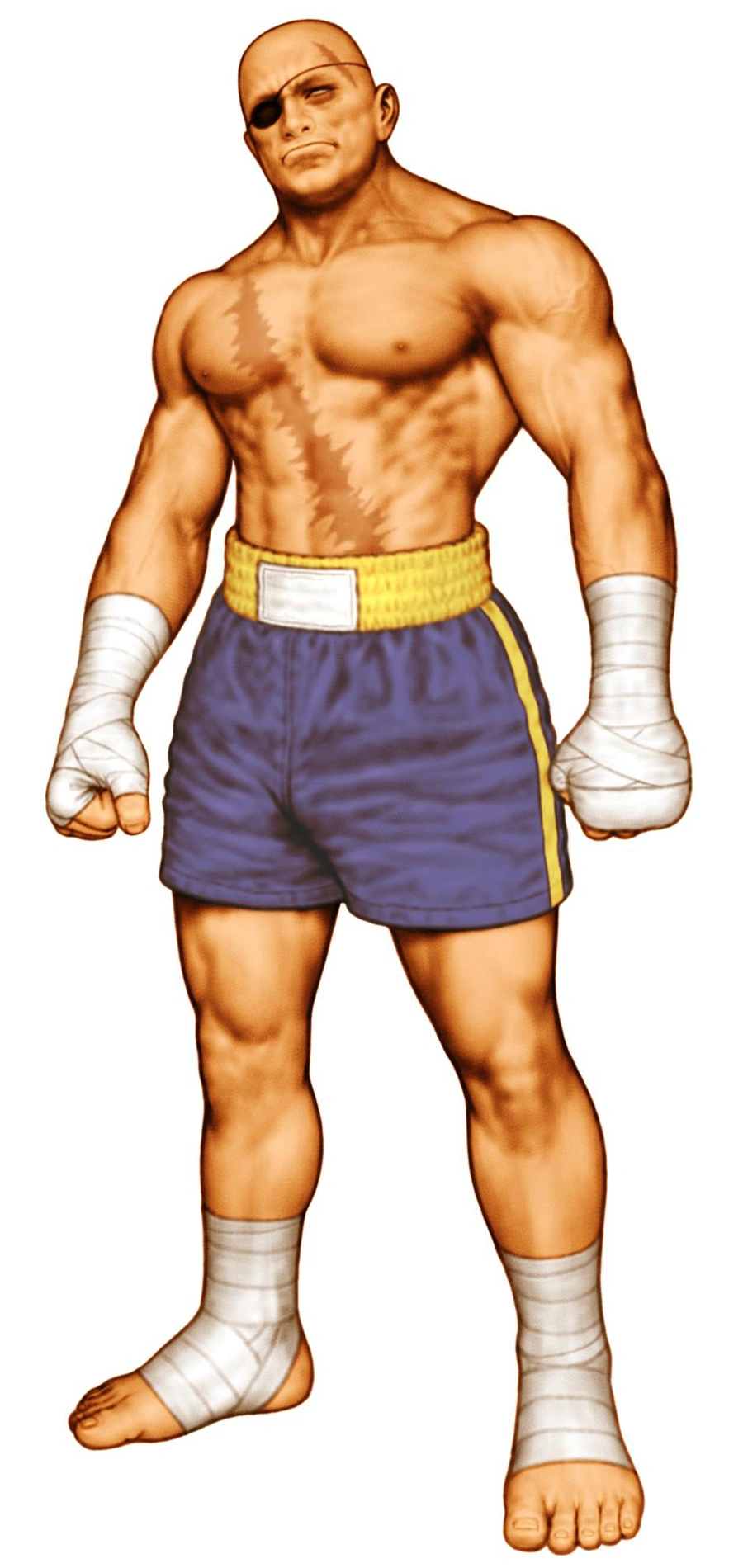 Sagat | Fan Fighters Edge Wiki | Fandom
