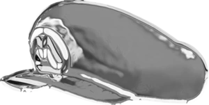 Metal Cap | Wiki Fanintendo | Fandom