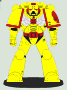 Angry Marines | Fanmade Chapters - Warhammer 40k Wiki | Fandom