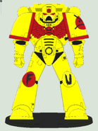 Angry Marines | Fanmade Chapters - Warhammer 40k Wiki | Fandom