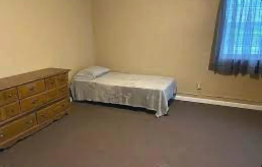 (FANMADE) level -919 | Fanmade levels of the backrooms Wiki | Fandom