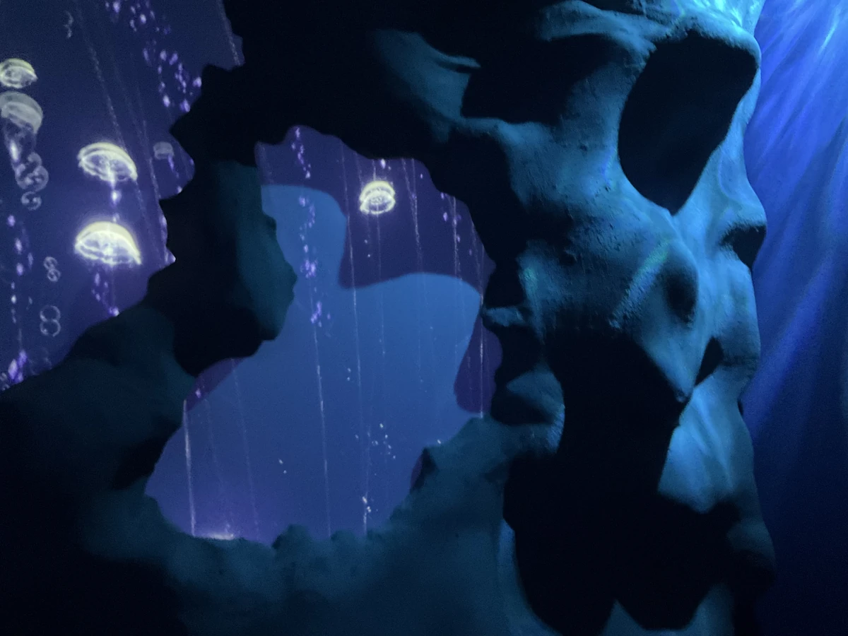 Level Φ | Fanmade Liminal Spaces Wiki | Fandom