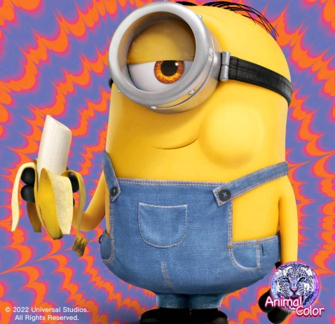 Minion names | Fanmade minions Wiki | Fandom