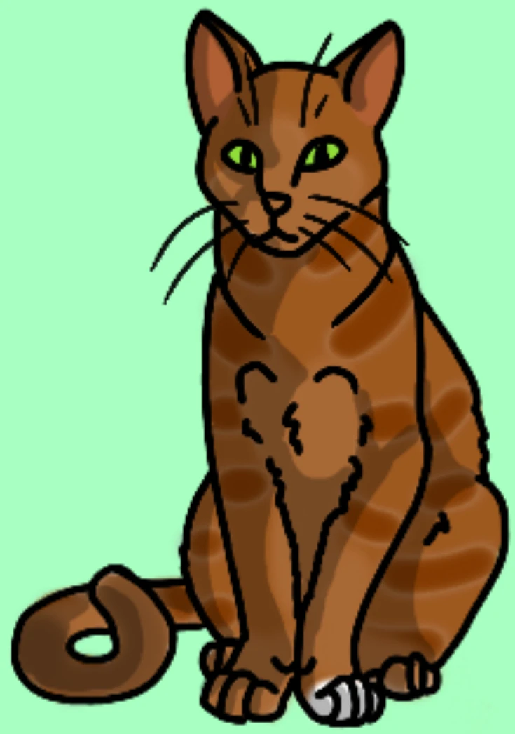 Applestar | Fan-Made Warrior Cat Wiki | Fandom